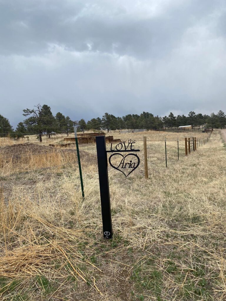 CUSTOM Address Post Sign - Mountain Man Metal Works